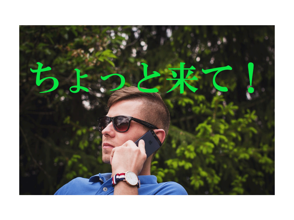 %e3%81%a1%e3%82%87%e3%81%a3%e3%81%a8%e6%9d%a5%e3%81%a6%ef%bc%81 | カケヅカ ...