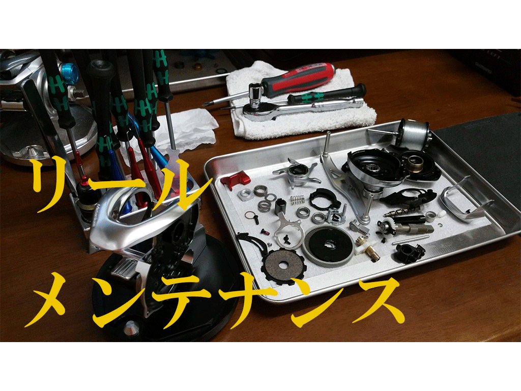 %e3%83%aa%e3%83%bc%e3%83%ab%e3%83%a1%e3%83%b3%e3%83%86%e3%83%8a%e3%83 ...